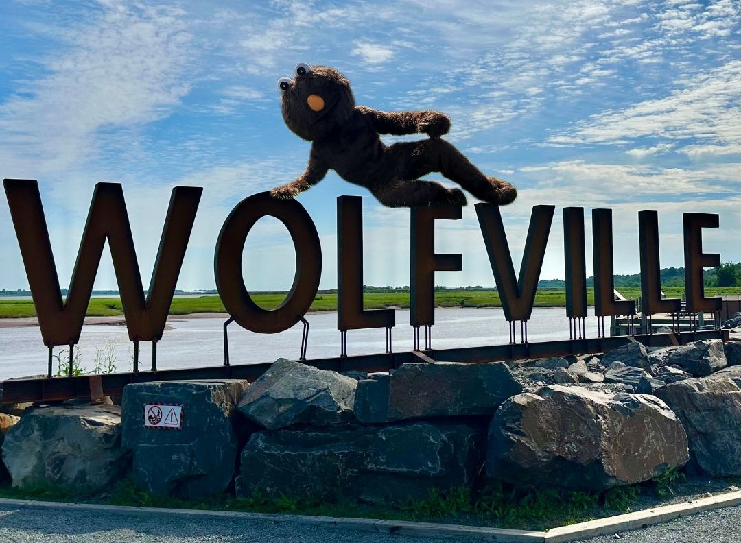Waterfront Concert and Fireworks | Town of Wolfville, Nova Scotia